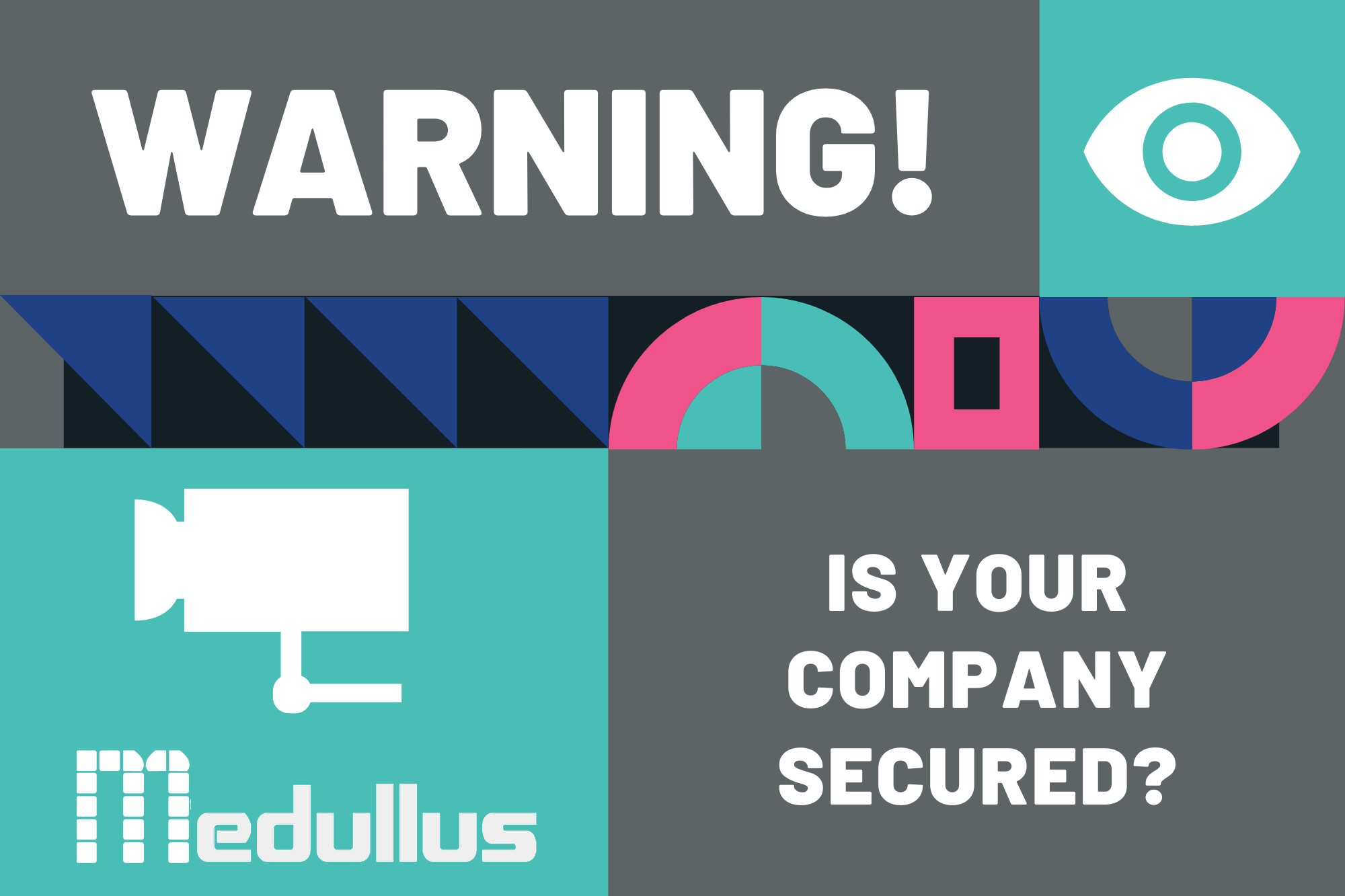 FREE: Disaster Recovery Audit - Medullus